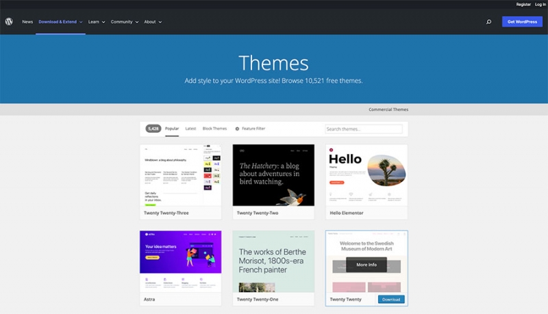 How To Choose A WordPress Theme Explained - SiteWired